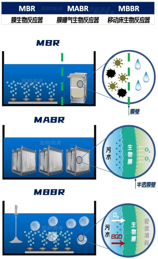 如何区分MBR、MABR和MBBR？哪个工艺才是最佳？_中国水星网